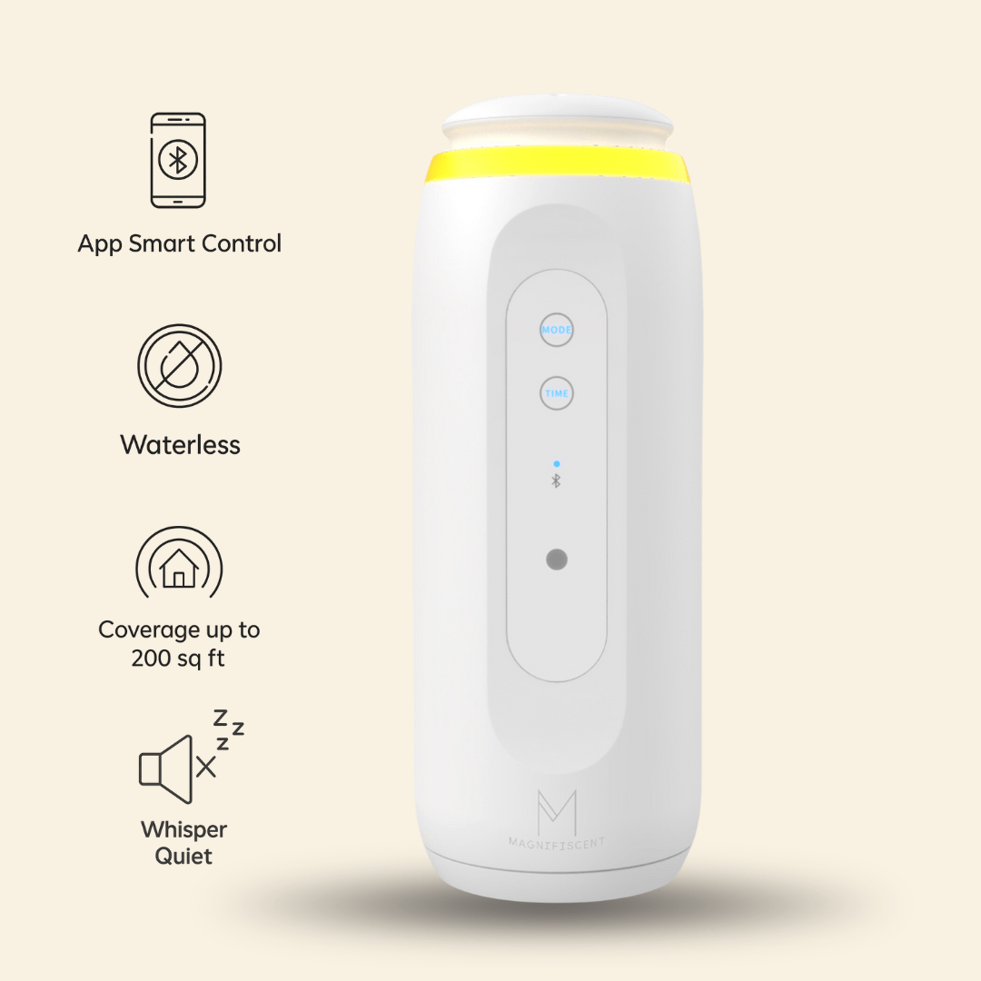 ZenPlug Smart Diffuser – Waterless Plug-In for Luxury Fragrance Oils